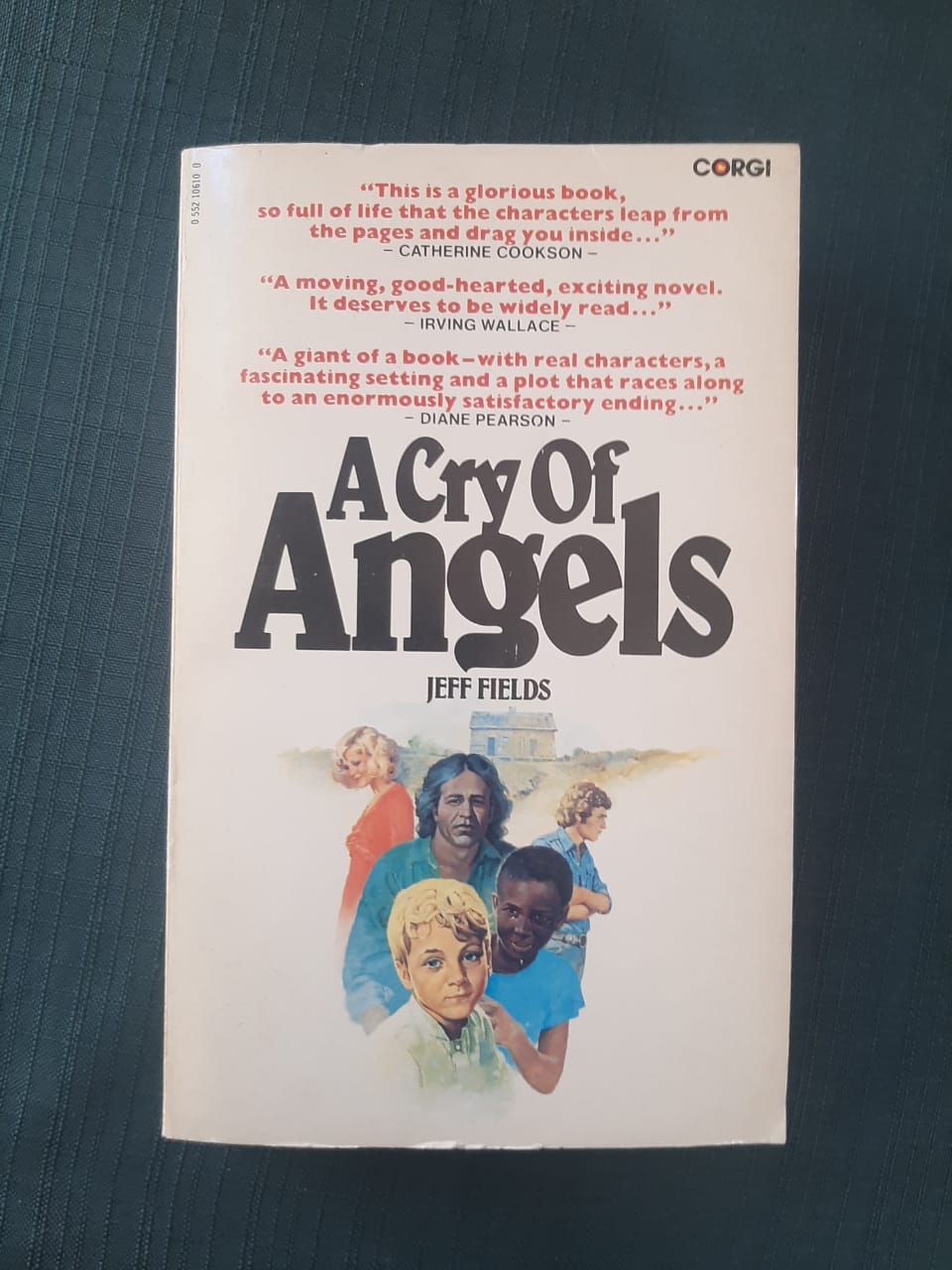 A Cry Of Angels - Jeff Fields