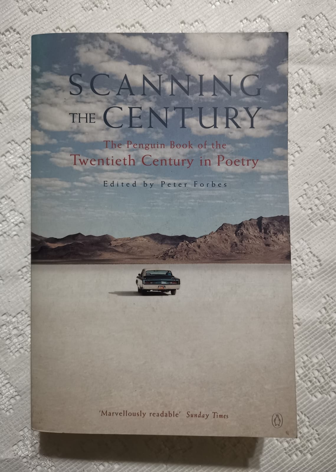 Scanning The Century - Peter Forbes