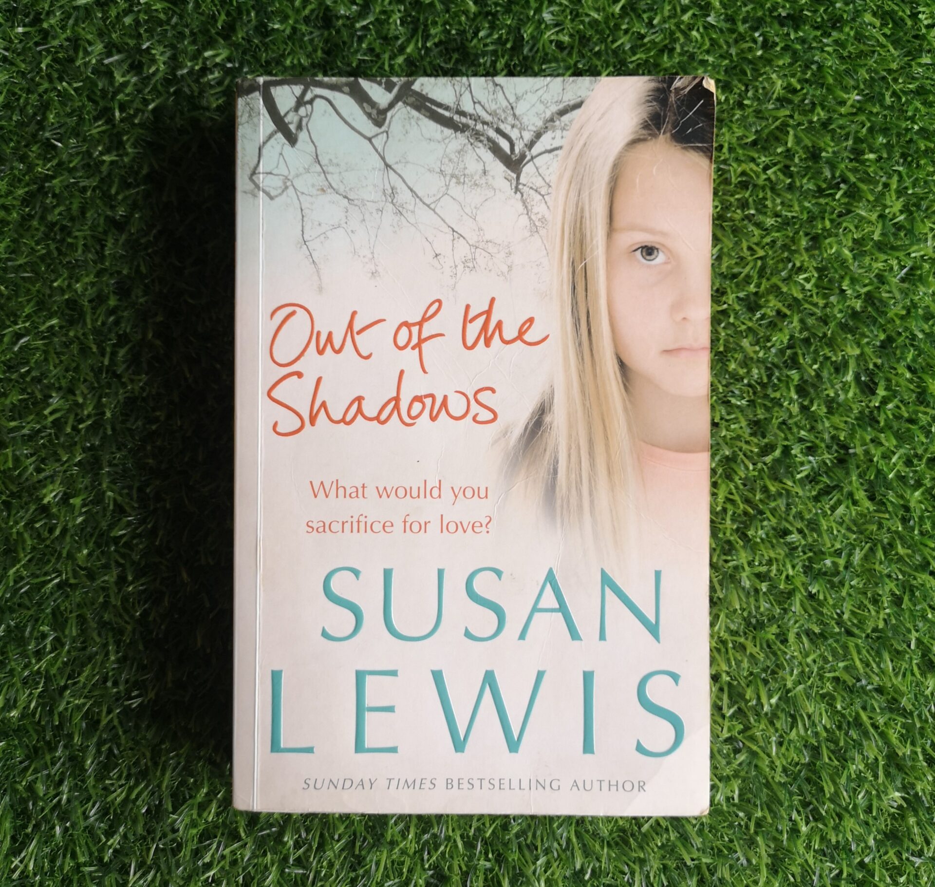 Out Of The Shadows - Susan Lewis
