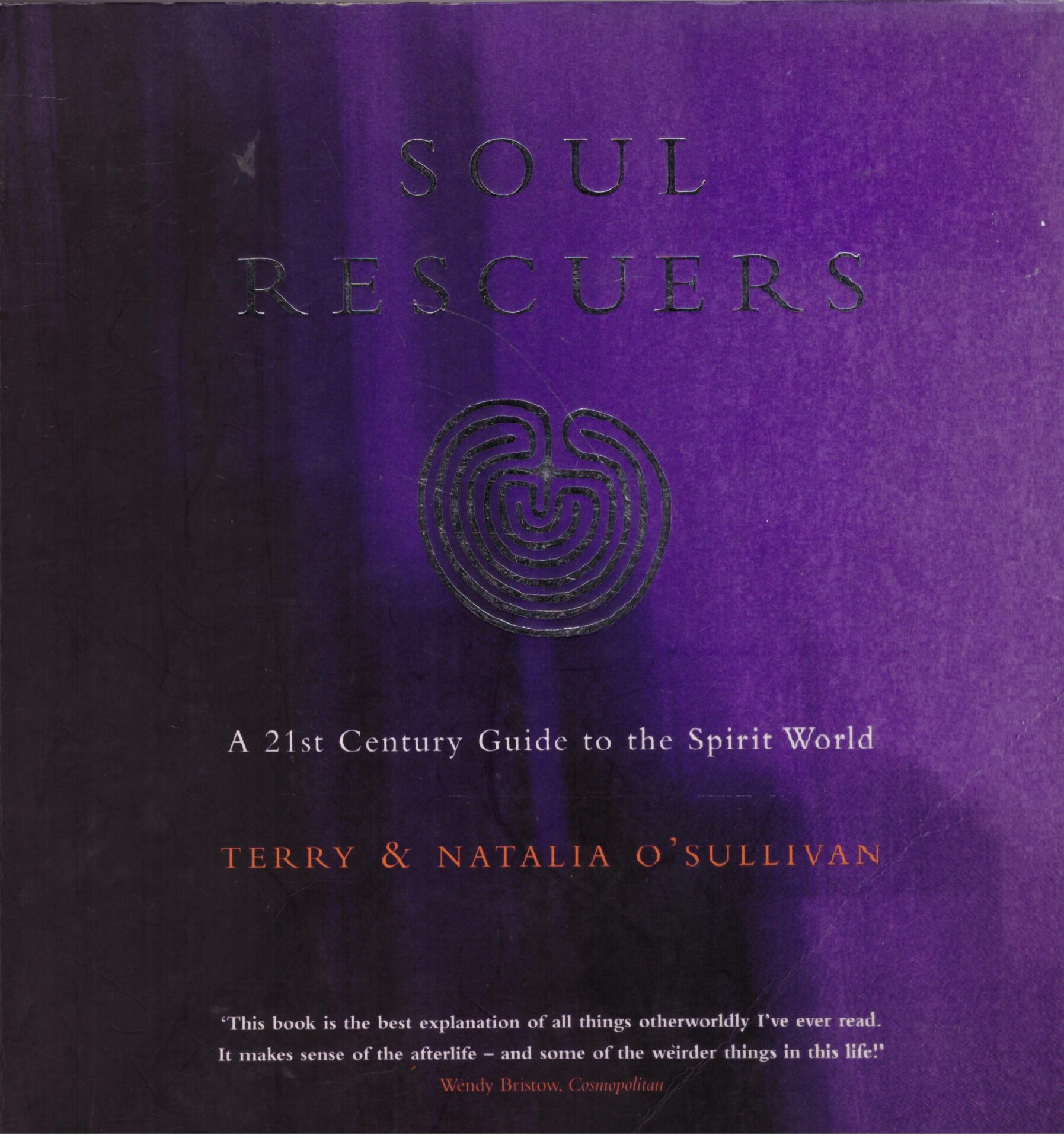 Soul Rescuers: A 21st Century Guide To The Spirit World - Terry O ...
