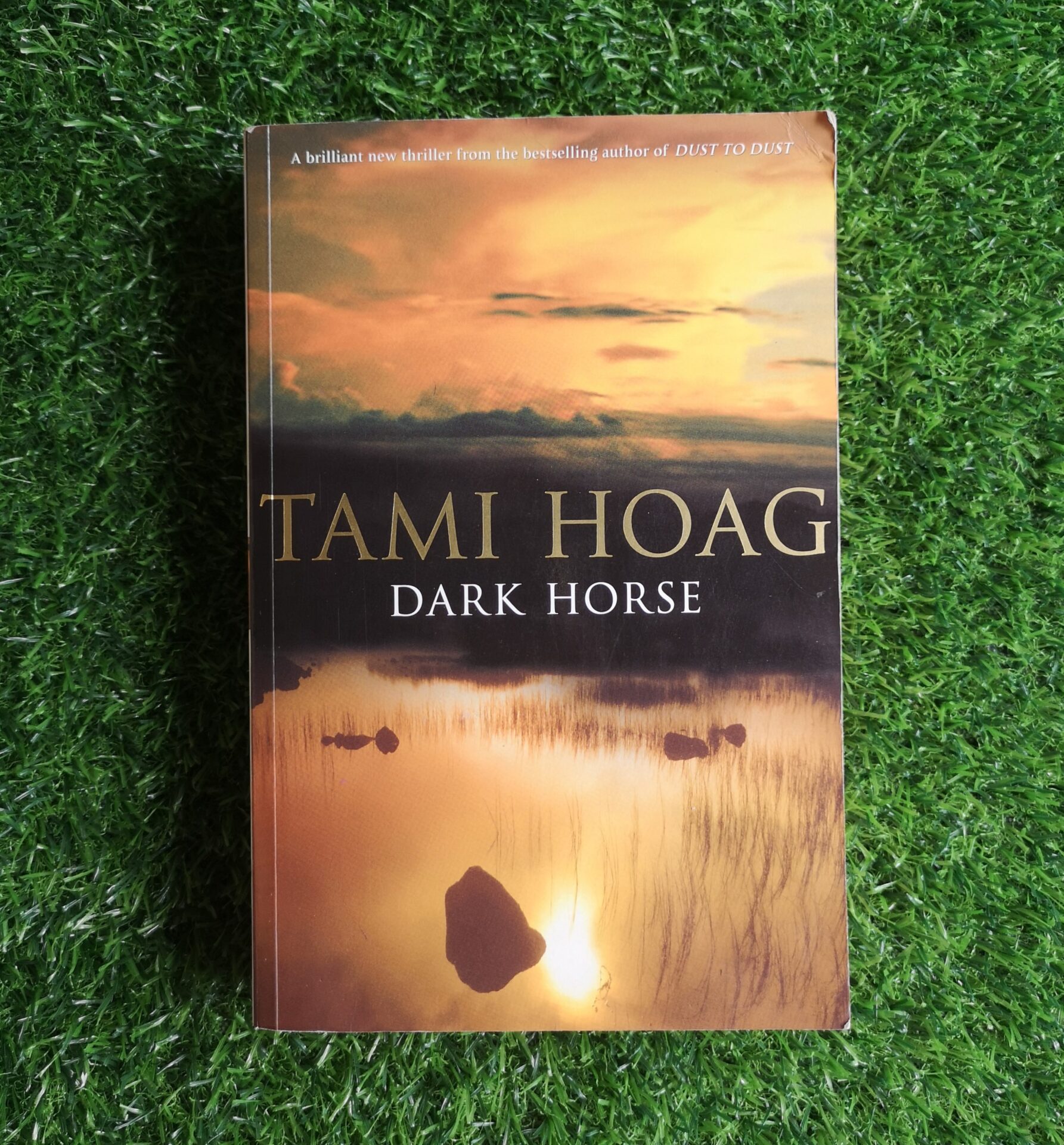 Dark Horse - Tami Hoag