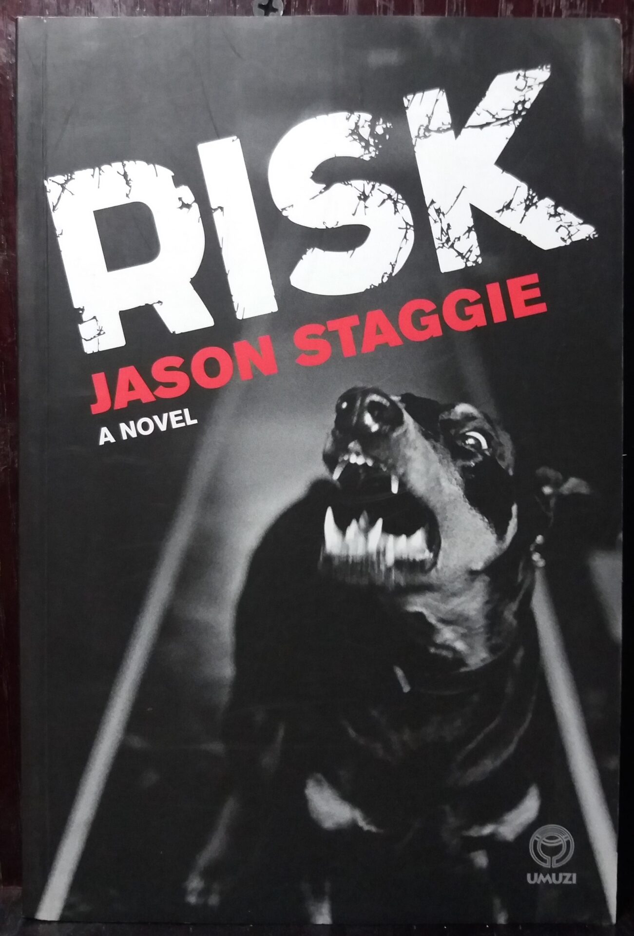Risk - Jason Staggie
