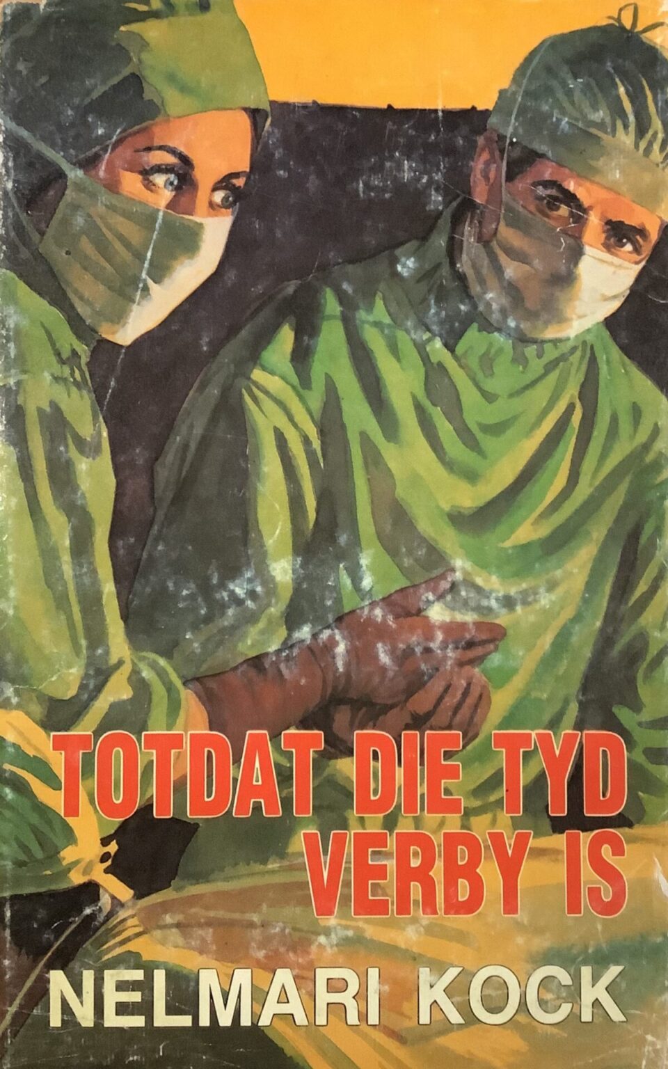 Totdat Die Tyd Verby Is - Nelmari Kock