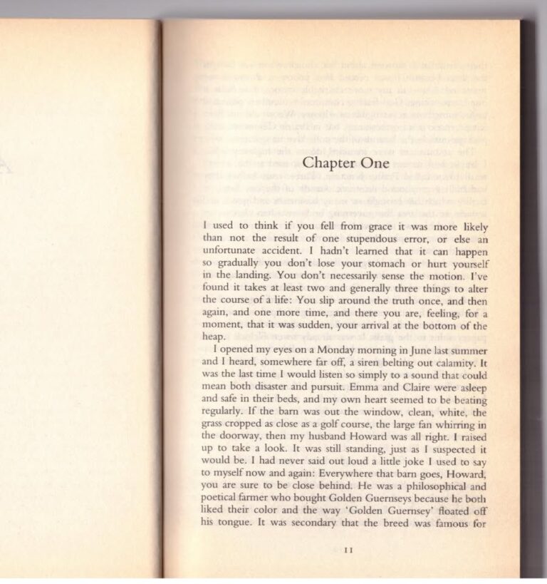 A Map Of The World -- Jane Hamilton