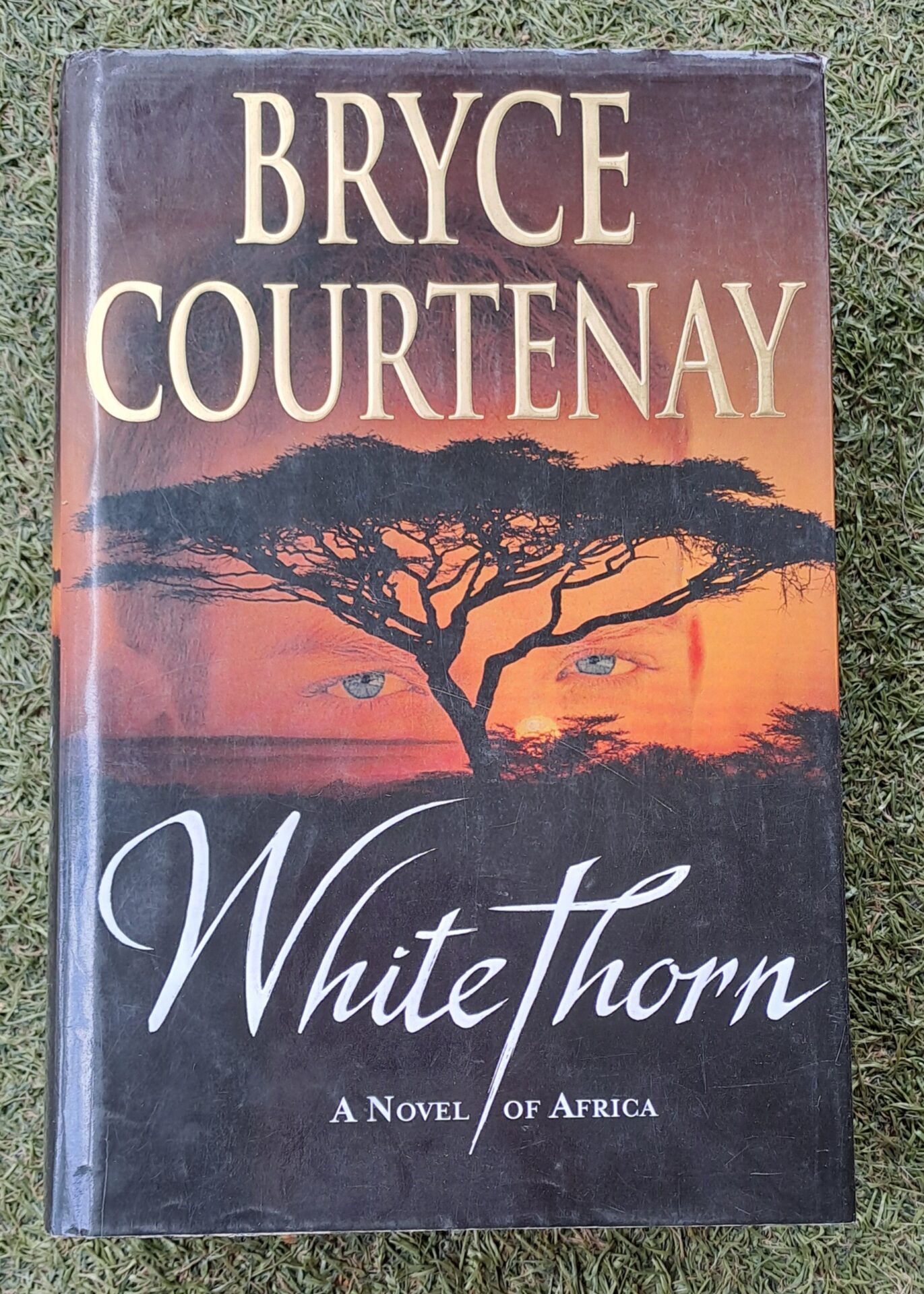 White Thorn - Bryce Courtenay