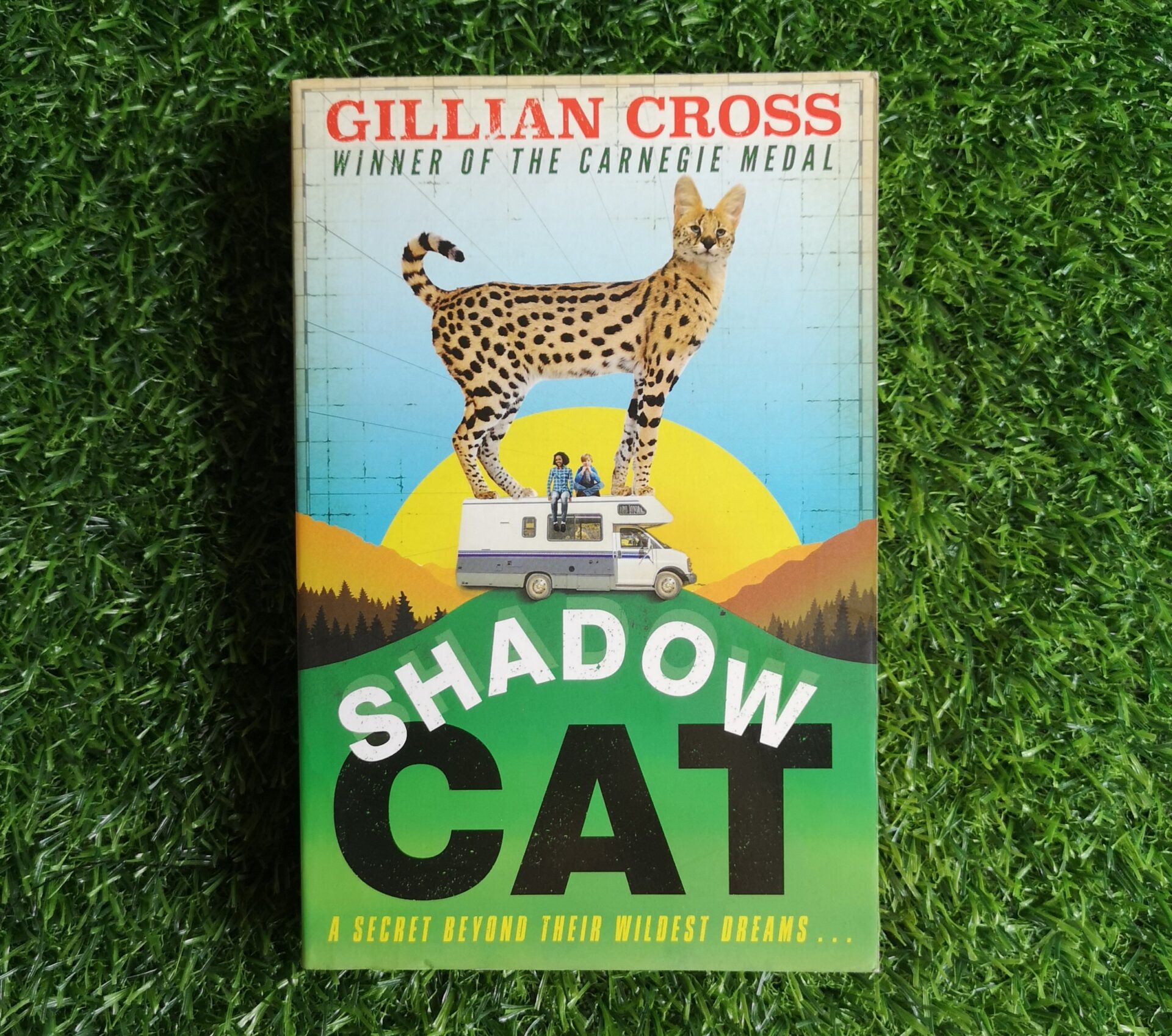 Shadow Cat - Gillian Cross