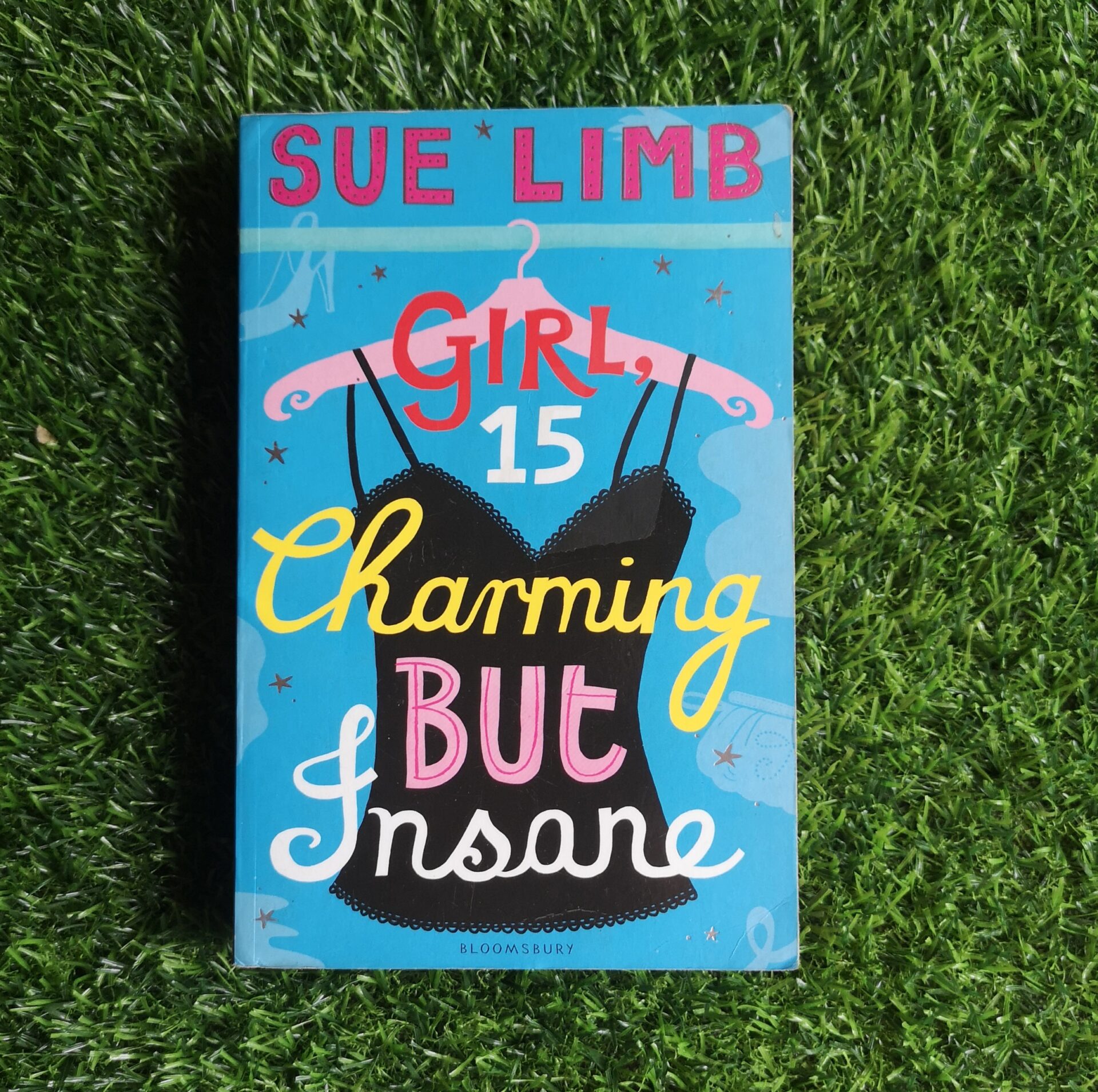 Girl 15, Charming But Insane - Sue Limb