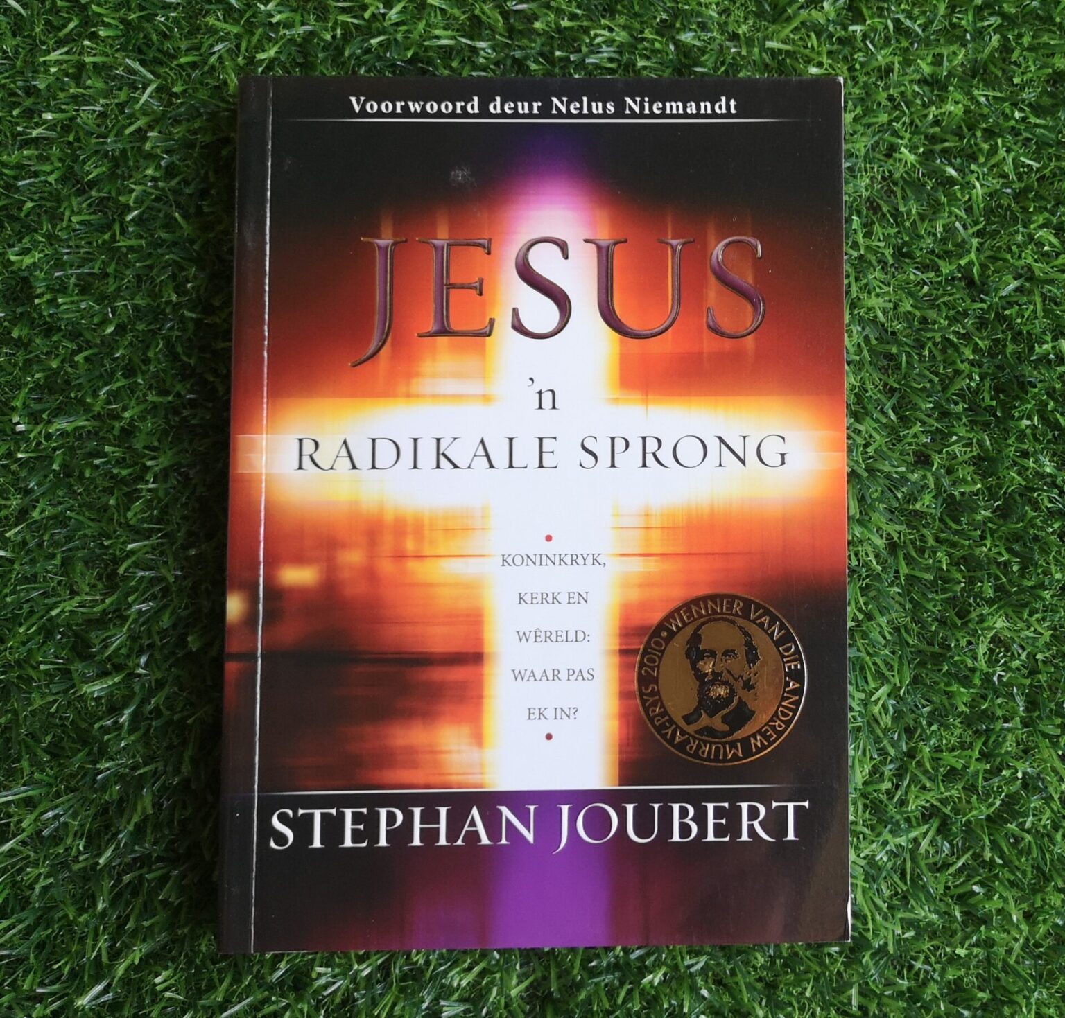Jesus, ‘n Radikale Sprong - Stephan Joubert