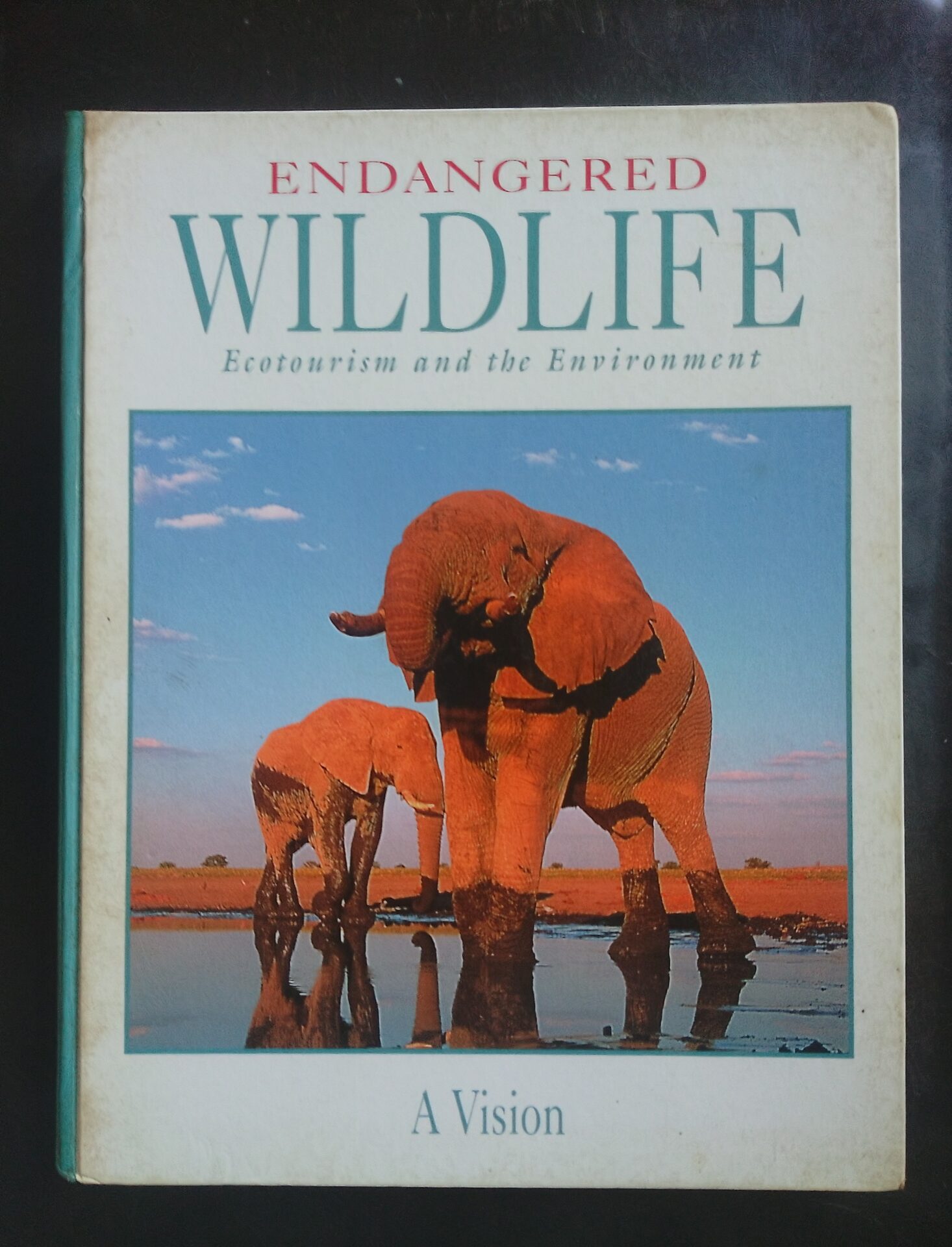 Endangered Wildlife: Ecotourism And The Environment
