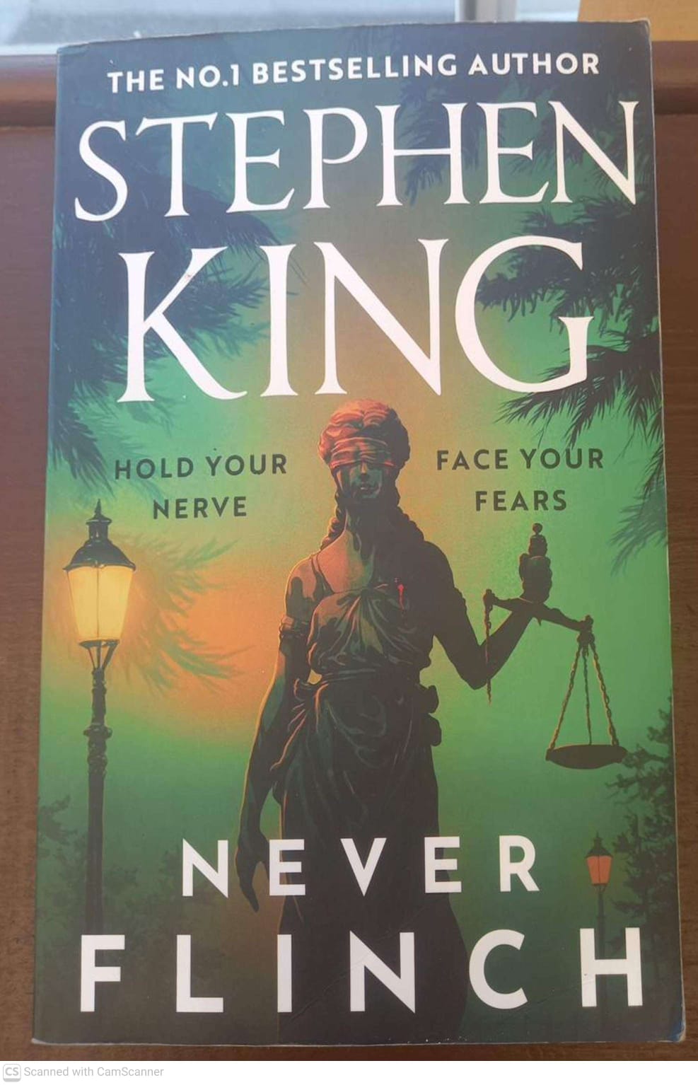 Never Flinch - Stephen King