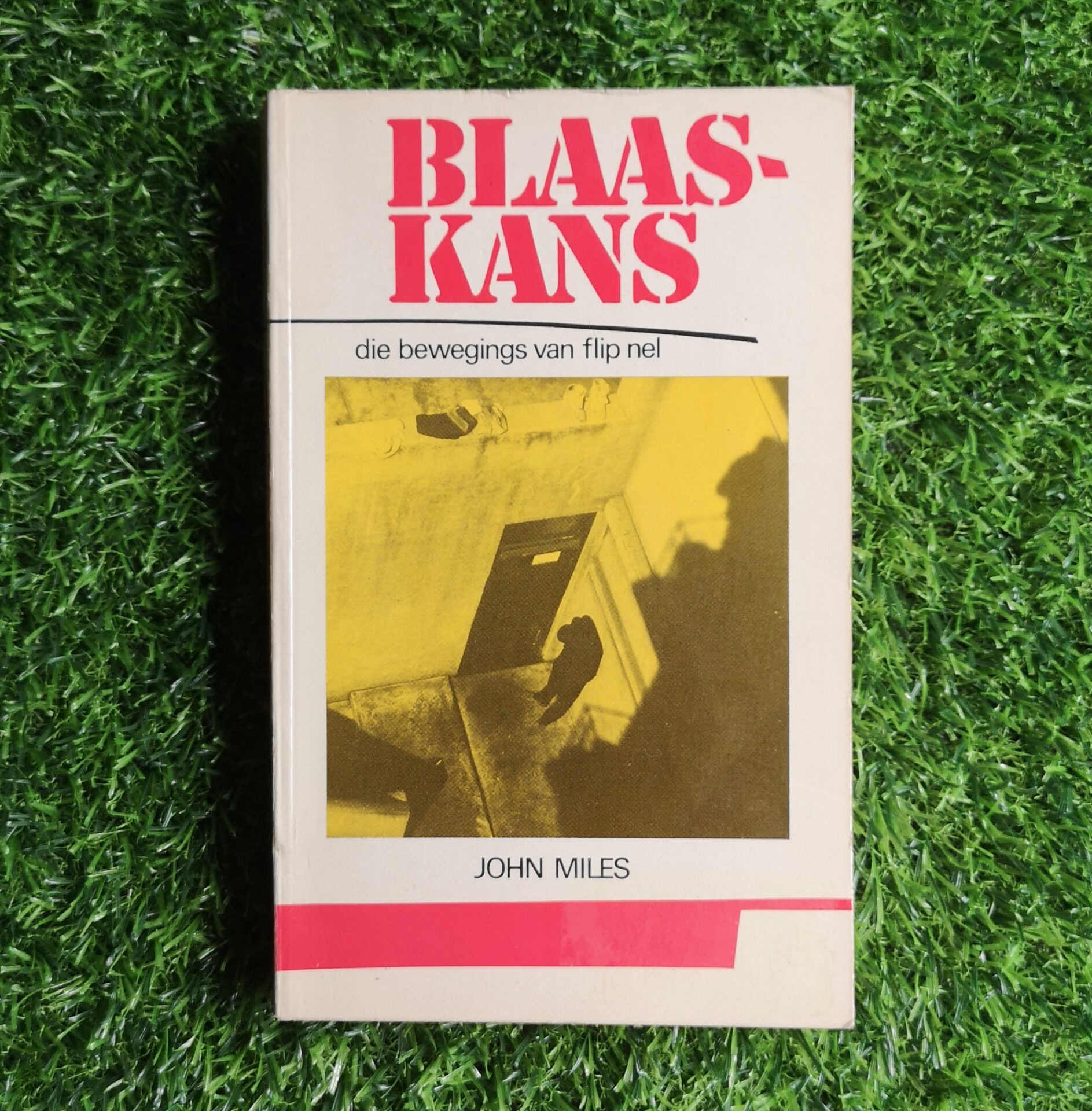 Blaaskans: Die Bewegings Van Flip Nel - John Miles