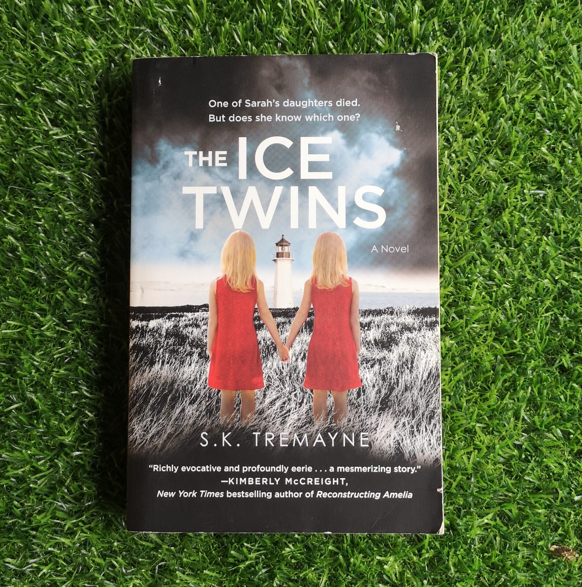 The Ice Twins - SK Tremayne